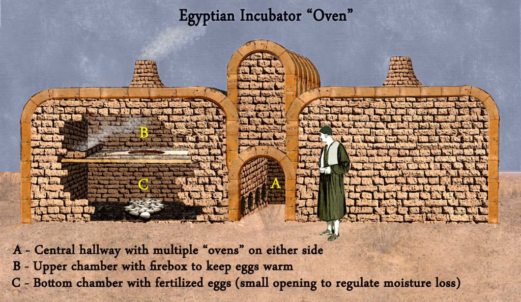 Ancient Egyptian Artificial Incubation of Eggs - Backyard Poultry
